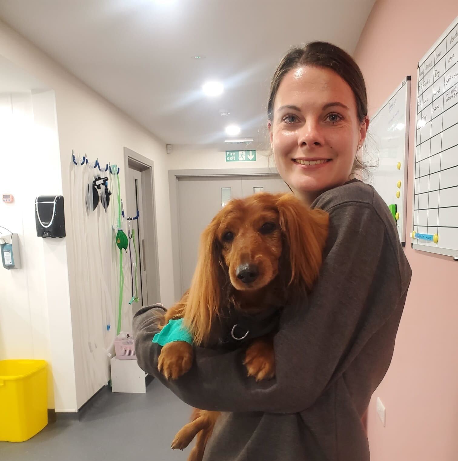 About Us - Needham Market Veterinary Centre