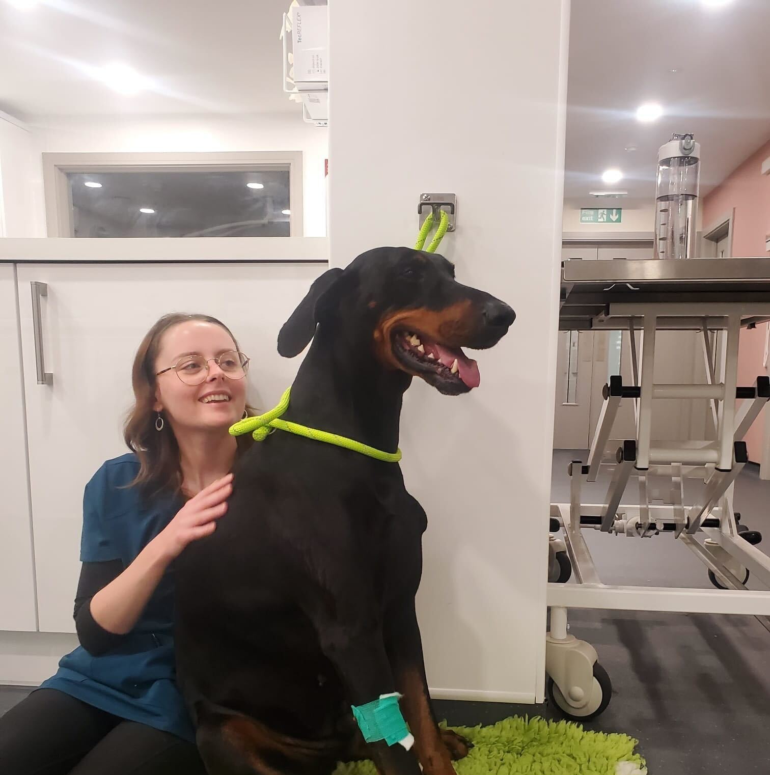 About Us - Needham Market Veterinary Centre