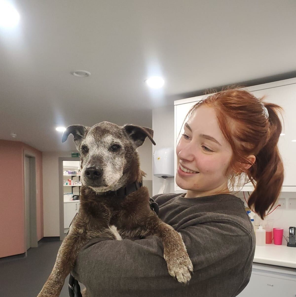 About Us - Needham Market Veterinary Centre